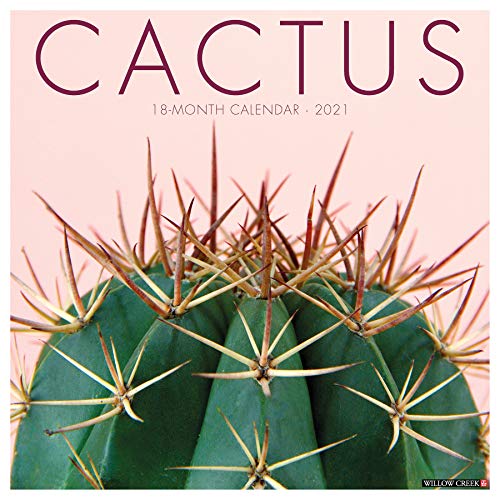 Cactus 2021 Wall Calendar in Saudi Arabia | Whizz Cacti & Succulents