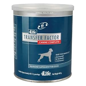 Amazon.com : Transfer Factor Canine - 60 x 7.7 gram servings : Transfer ...