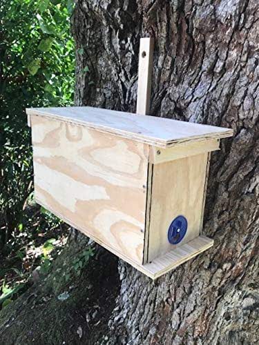 Amazon.com: Honey Bee Swarm Trap with Frames and Swarm Lure By East ...