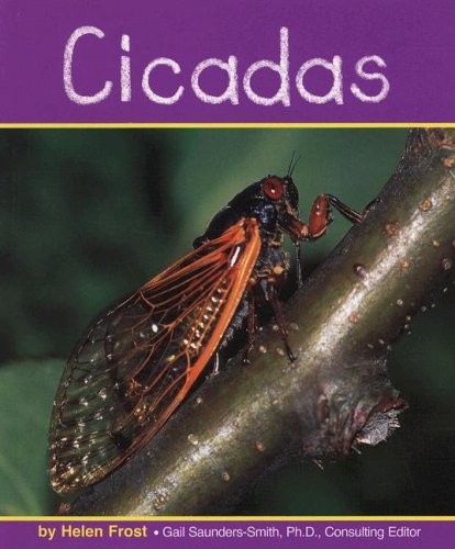 Cicadas (Insects): Frost, Helen: 9780736890861: Amazon.com: Books