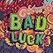Bad Luck (The Bad Books, 2): Bosch, Pseudonymous: 9780316320443: Amazon ...