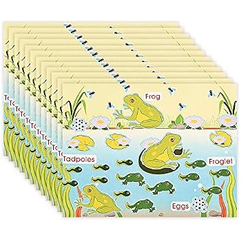 Amazon.com: Yabber Kids Party Favors [Green Flying Frogs] Safe ...