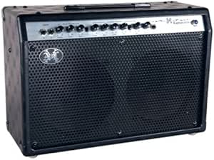 Amazon.com: AXL Rapture 100R, 70w Guitar Amplifier with Accutronics ...