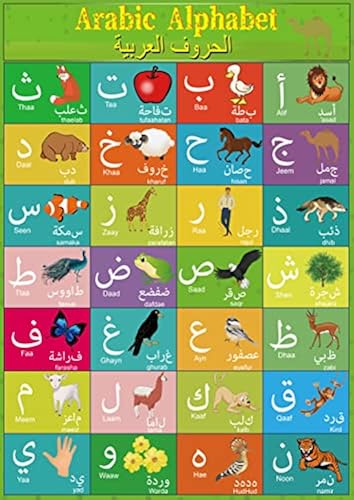 Arabic Alphabet Poster for Kids Arabic Alphabet Flash Cards with ...