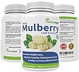 White Mulberry (Morus alba) - Herb Uses, Heatlth Benefits and Side Effects