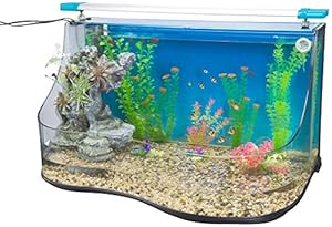 Amazon.com : Penn Plax Aqua Terrium Aquarium Water Pool - Two Large ...