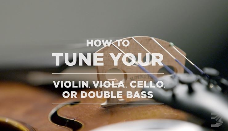 Watch How to Tune Your Violin, Viola, Cello, or Double Bass on Amazon Live