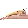Amazon.com: Folkmanis Mini Banana Slug Finger Puppet : Toys & Games
