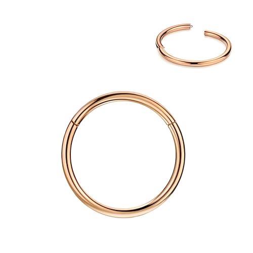 FANSING Big Nose Rings for Women 20g 11mm Nose Hoop 20 Gauge 18k Rose ...