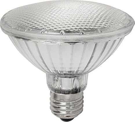 LAES Bulb PAR 30 LED E27, 10 W, Grey, 95 x 94 mm: Amazon.co.uk: Lighting