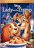 Lady and the Tramp in Oman | Whizz