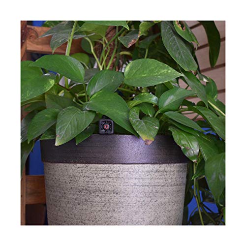 Mini Gadgets HCNVMiniCube 1" 1080p Mini Cube Camera with Night Vision ...