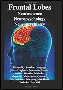 Frontal Lobes: Neuroscience, Neuropsychology, Neuropsychiatry ...