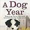 A Dog Year: Rescuing Devon, the most troublesome dog in the world: Katz ...