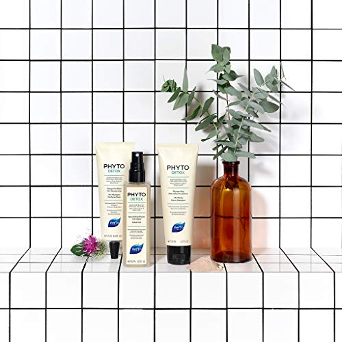 Phyto D-TOX Pre-Shampoo Purifying Mask - Hair Shampoo for Women with ...