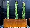 DIY CARTEL Corten Steel Rectangular Outdoor Planter Box, Rustic ...