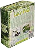 Lily Pad Kit - Grow Your Own Giant Lily Pads - The Green Head