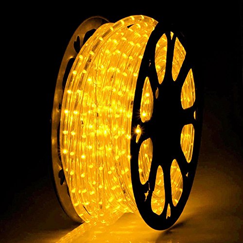 DELight Upgraded 50 FT 2 Wire LED Rope Light Cuttable Strip Lights ...