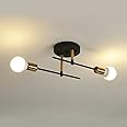 HY FLORISTS Rustic Ceiling Light semi Flush Mount 2 Bulb Light Fixture ...