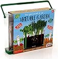 Creative Sprouts Grow Your Own Look & See Vegetable Garden: Amazon.co ...