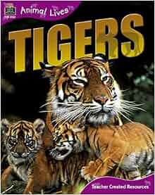 Amazon.com: Animal Lives: Tigers (9781420681611): Teacher Created ...