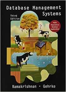 Database Management Systems, 3rd Edition: Raghu Ramakrishnan, Johannes ...