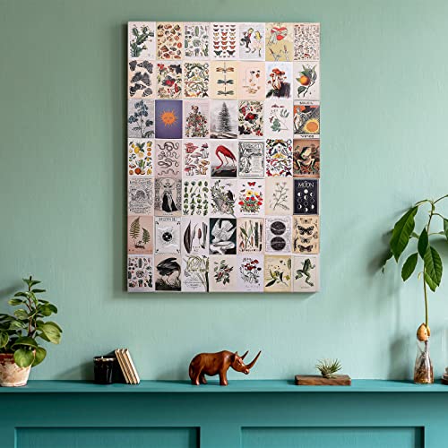 OUTMONLY Vintage Wall Collage Kit for Wall Aesthetic,70 pcs 4x6 inch ...