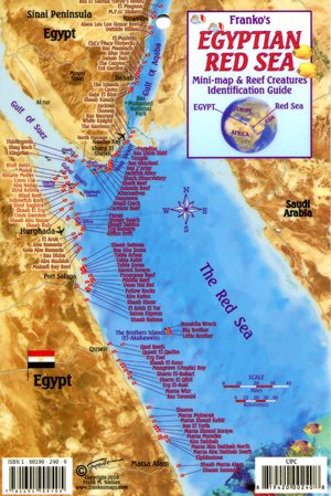 FrankosMaps Red Sea Mini-map & Reef Creatures Identification Guide ...