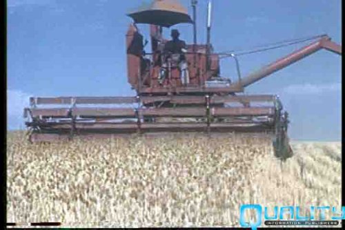 Mua Classic Farming & Agriculture Films (2) Two DVD Set: 1920s - 1950s ...