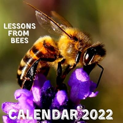 2022 Bees Calendar: Monthly Planner with Quotes - Australia | Ubuy
