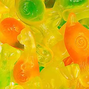Amazon.com : Gummy Snails Candy 1LB Bag : Grocery & Gourmet Food