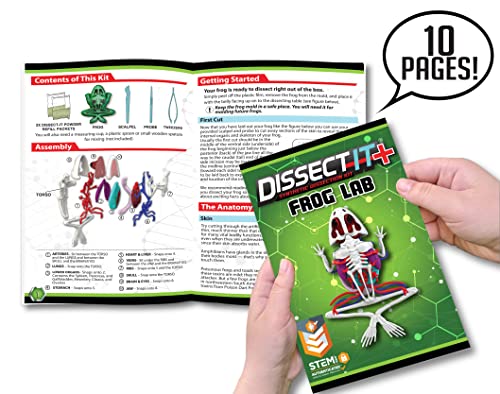 Dissect-It Plus Upgraded Frog Dissection Toy Kit, Realistic Lab ...