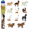 Amazon.com: Safari Ltd Pets TOOB: Toys & Games