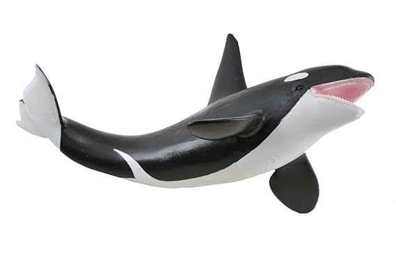 Collecta Sea Life Orca Toy Figure - Authentic Hand Painted Model ...