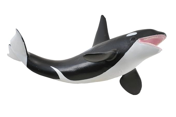 Collecta Sea Life Orca Toy Figure - Authentic Hand Painted Model ...