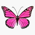Amazon.com - Hot Pink Butterfly Bumper Sticker Vinyl Decal 5 inches