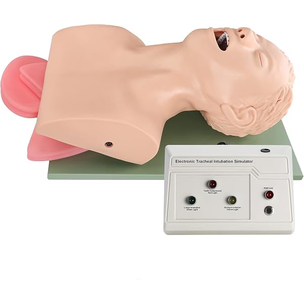 Baby Mannequin PVC Intubation Manikin Study Teaching Model Airway ...