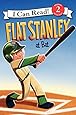 Amazon.com: Flat Stanley: His Original Adventure! (8601200492668): Jeff ...