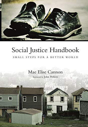 Social Justice Handbook: Small Steps for a Better World (BridgeLeader ...