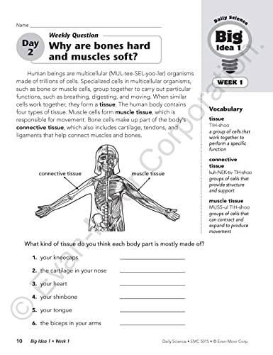 Daily Science, Grade 5 | Pricepulse
