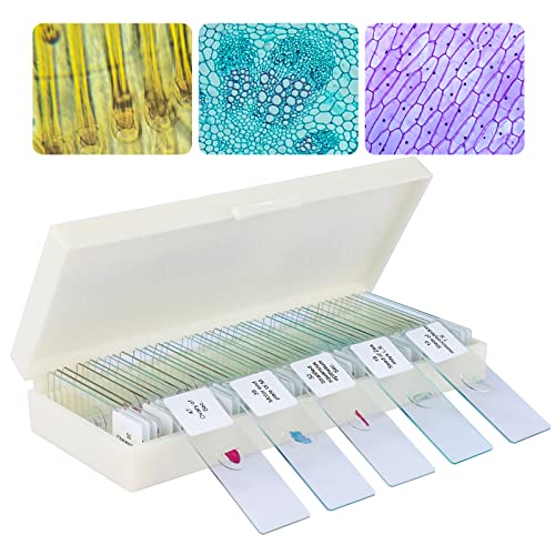 50 Pcs Microscope Slides Prepared for Student Kids Glass Microscope ...