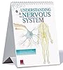 Understanding the Nervous System Flip Chart (Anatimical Flip Chart) in ...