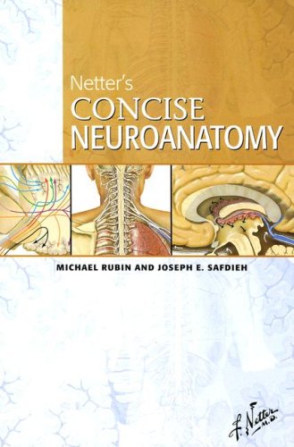 Netter's Concise Neuroanatomy (Netter Basic Science): 9781933247229 ...