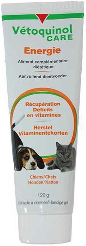 Vetoquinol VTQ Care Energie Gel pour Chien et Chat Tube de 120 g ...