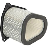 Amazon.com: Hiflofiltro HFA3907 Premium OE Replacement Air Filter ...