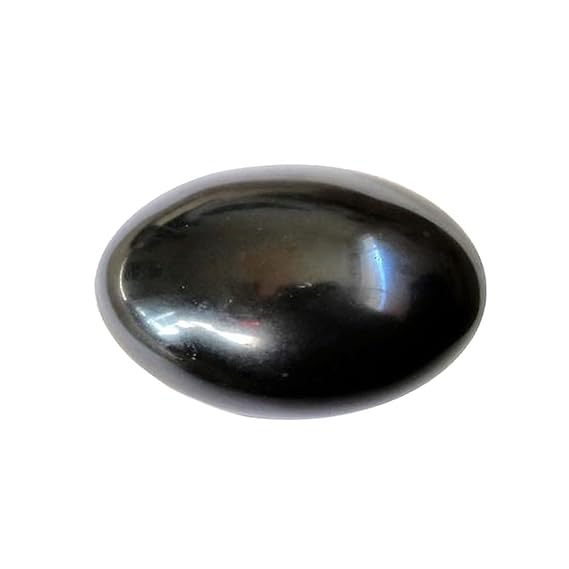 SAMRIDDHI Shaligram Stone (Religious Stone): Amazon.in: Home & Kitchen