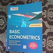 Buy Basic Econometrics Book Online at Low Prices in India | Basic ...