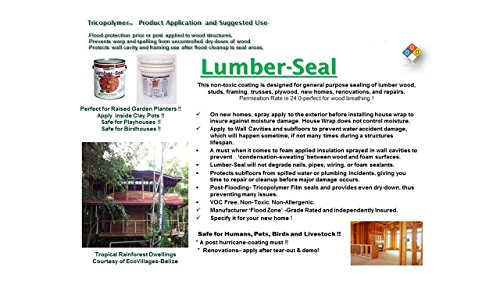 TriCoPolymer VOC Free Non Toxic Lumber-Seal Clear Satin Wood Sealer, 1 ...