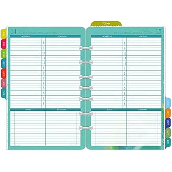 Amazon.com : Day-Timer Flavia Desk-Size Daily Planner Refill 2015, 5.5 ...