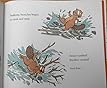 Frog and Beaver: Amazon.co.uk: James, Simon, James, Simon ...